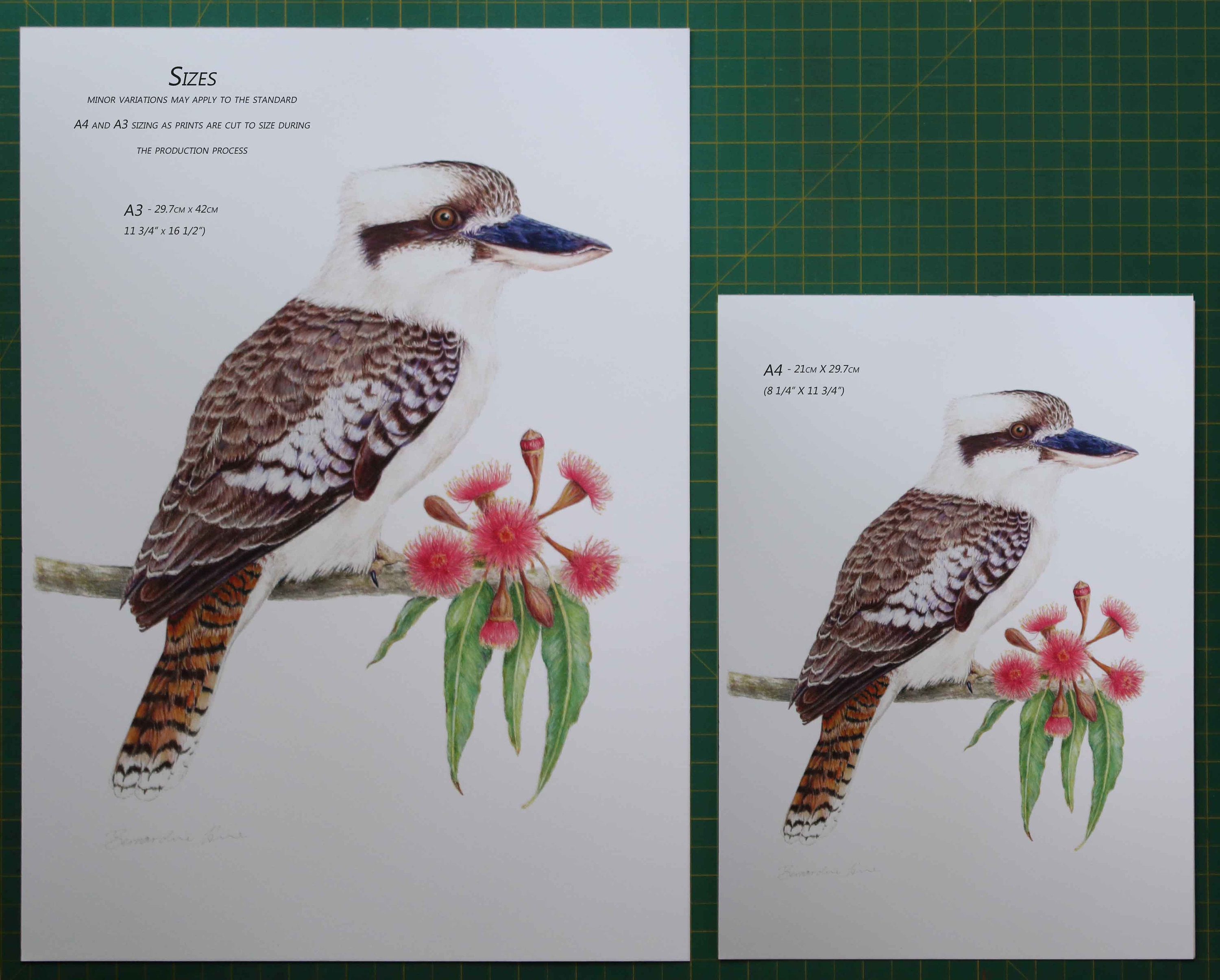 Kookaburra, Australian Native Wildlife Art, Bird Art, Australian Art ...