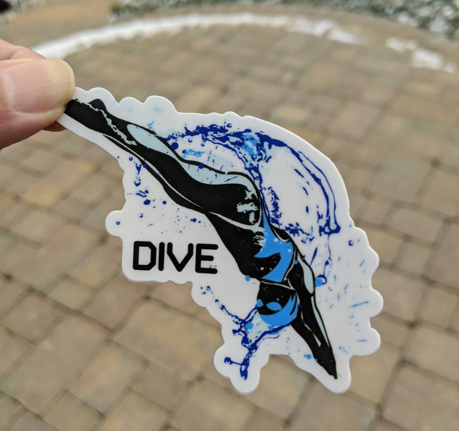 Dive Sticker Swim Gift Swim Team Gift FEMALE DIVER Dive - Etsy