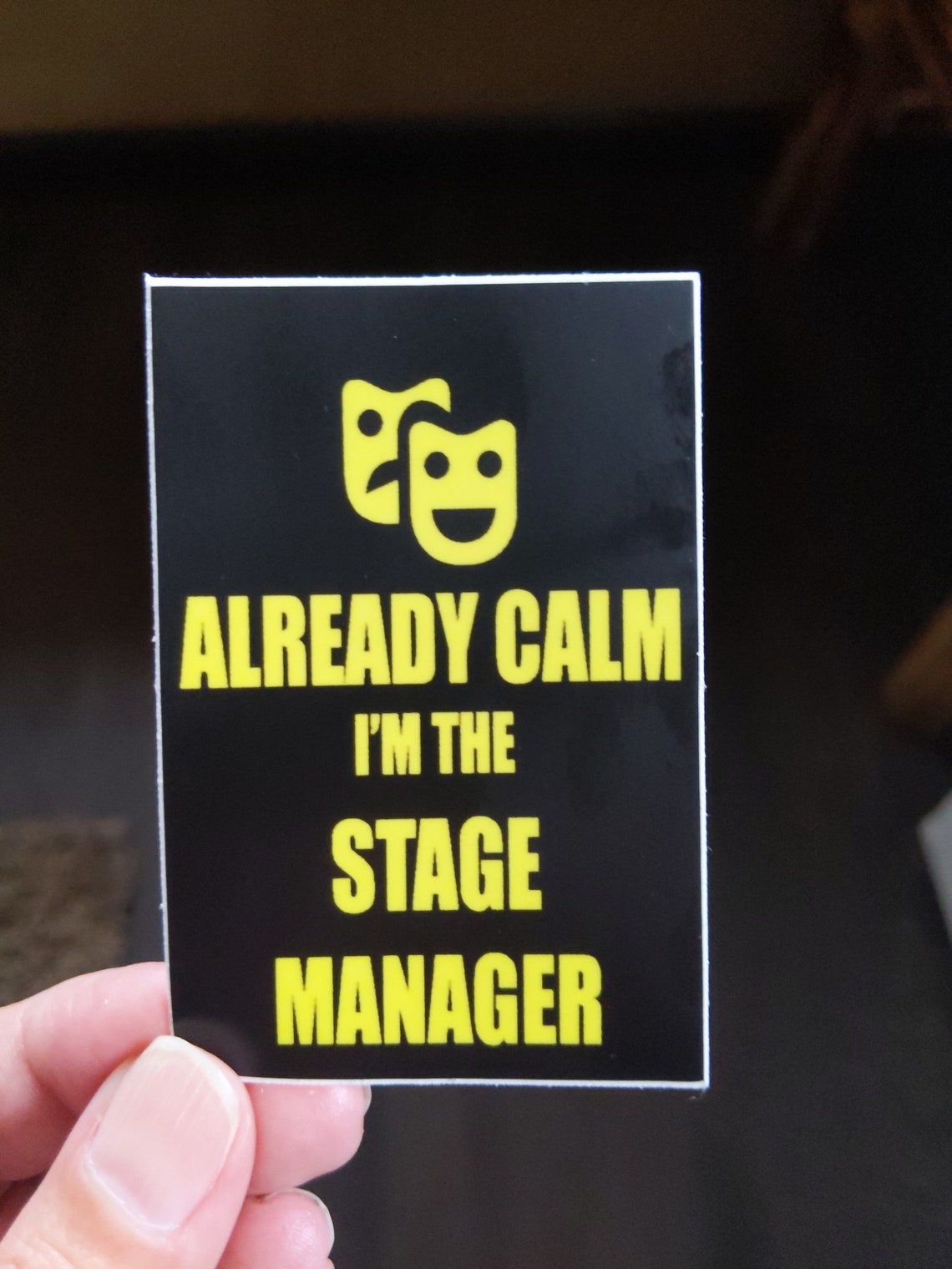 Vinyl Theatre Sticker water bottle sticker theatre gift | Etsy