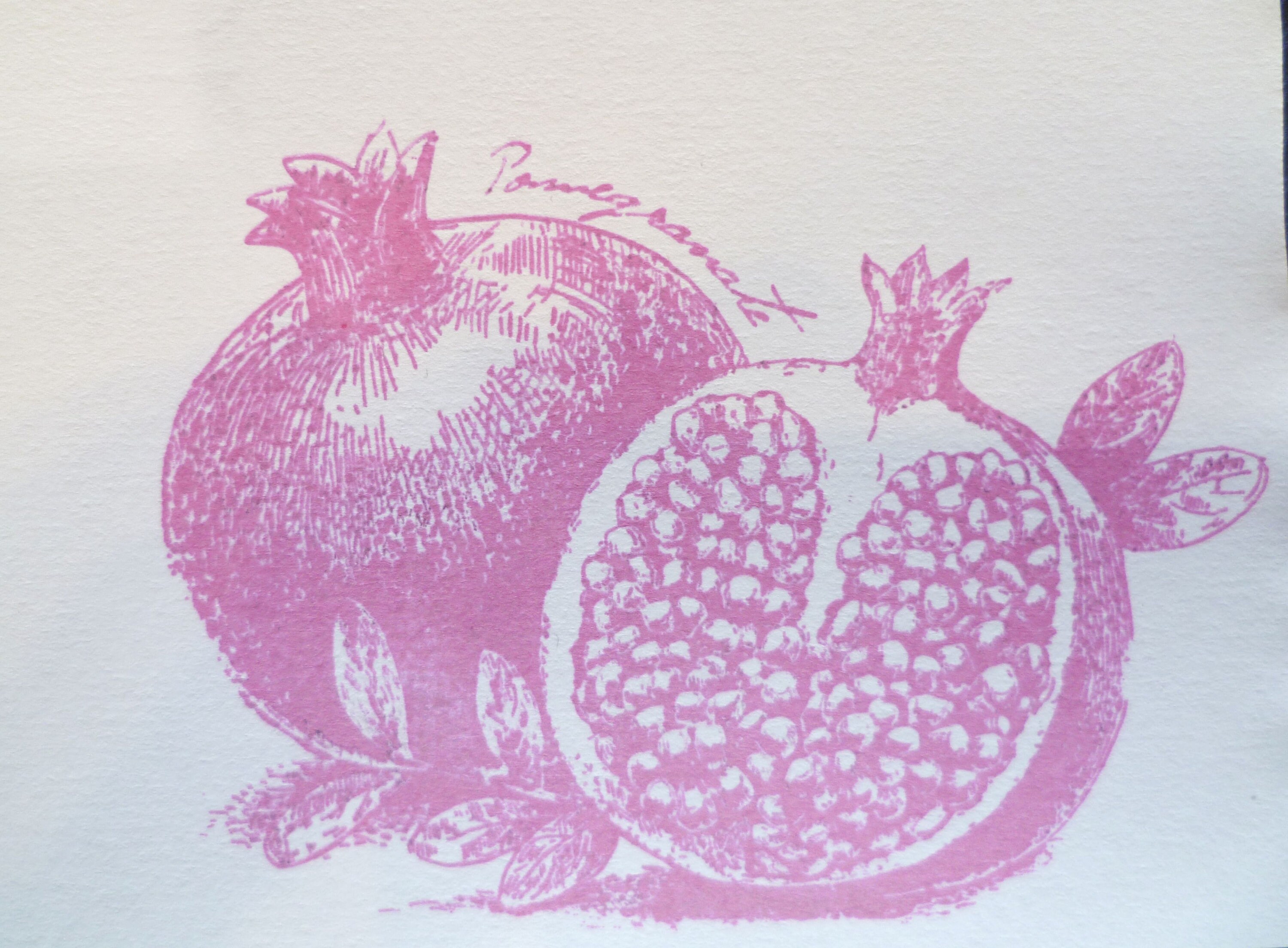 Hand Stamped Pomegranate Stationery Set: Quirky Letter Writing Paper - Etsy