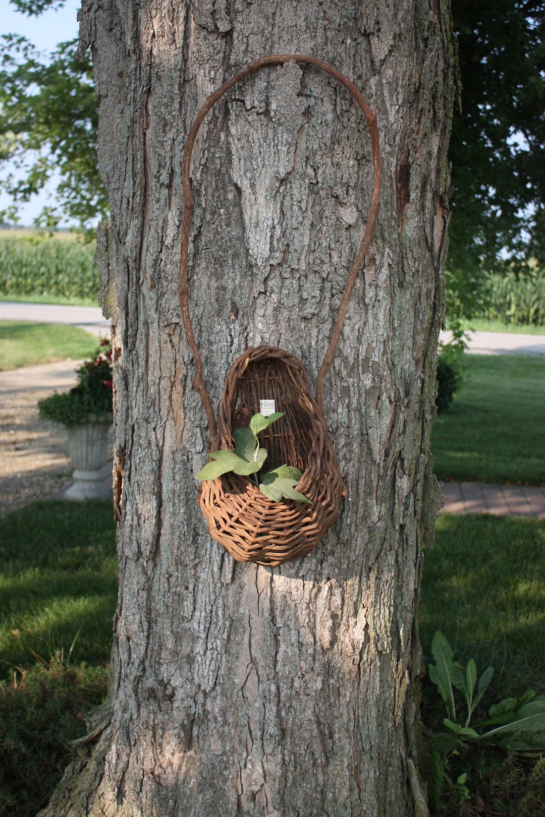 Vintage Grapevine Hanging Basket, Grapevine Greenery or Floral Basket ...
