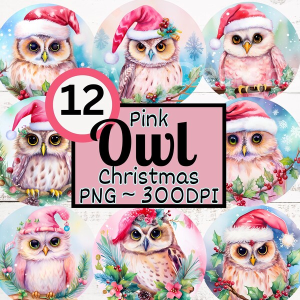 Pink Owl Clipart - Etsy