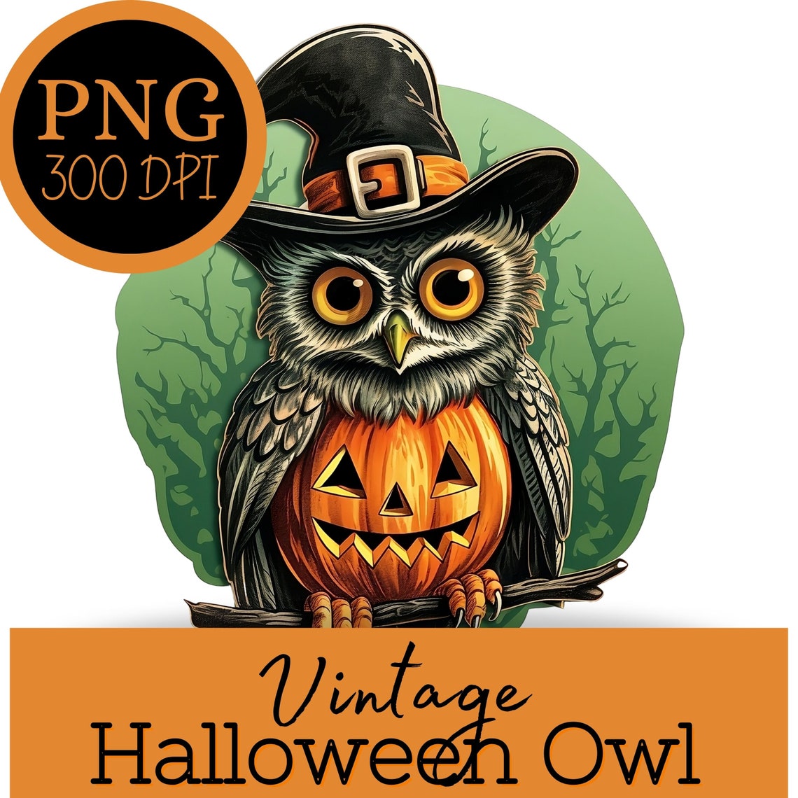 Owl PNG, Vintage Halloween, Owl Clipart, Halloween Clipart, Instant ...