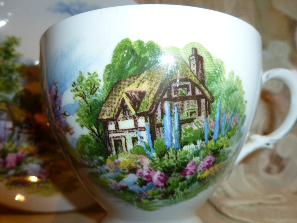 Beautiful Vintage "royal Vale" Bone China Teacup and Saucer / English ...