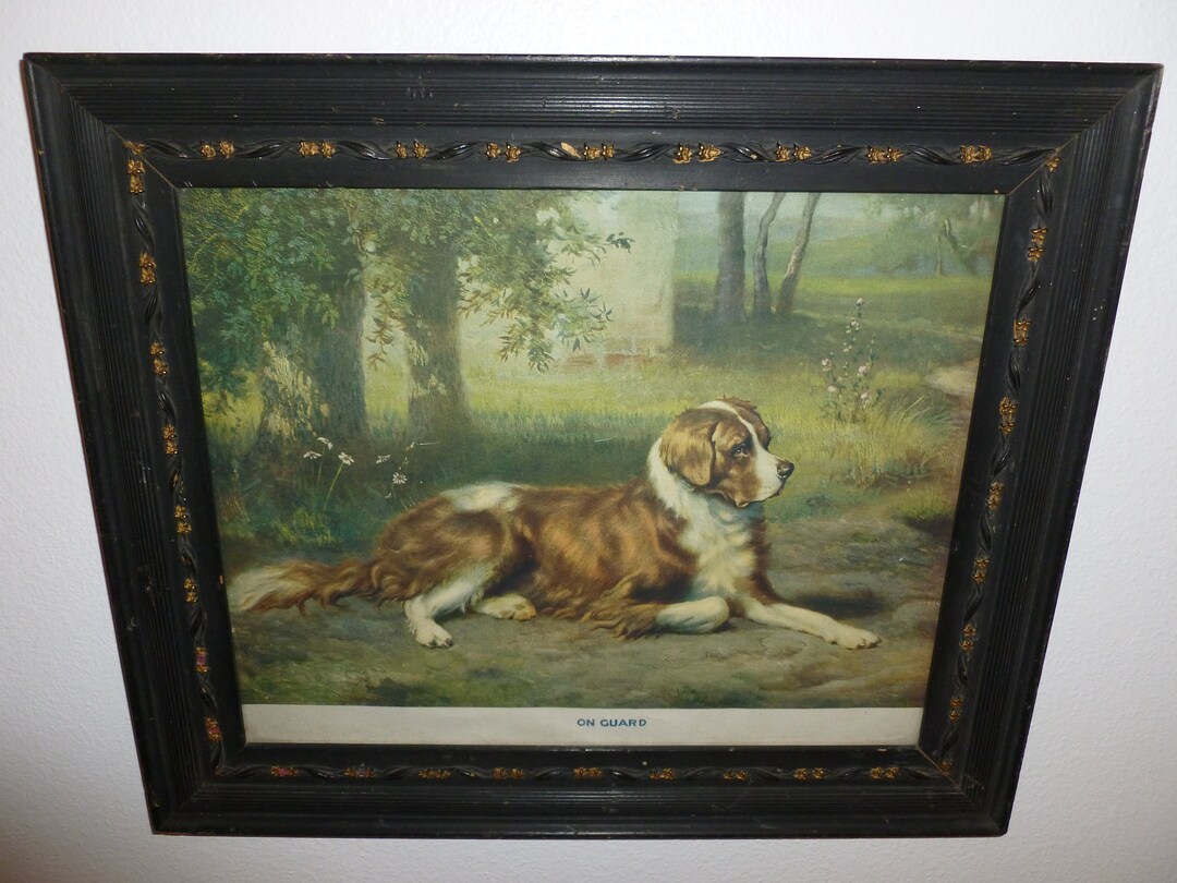 A Wonderful Vintage St. Bernard Print Under Glass on Guard Edward ...