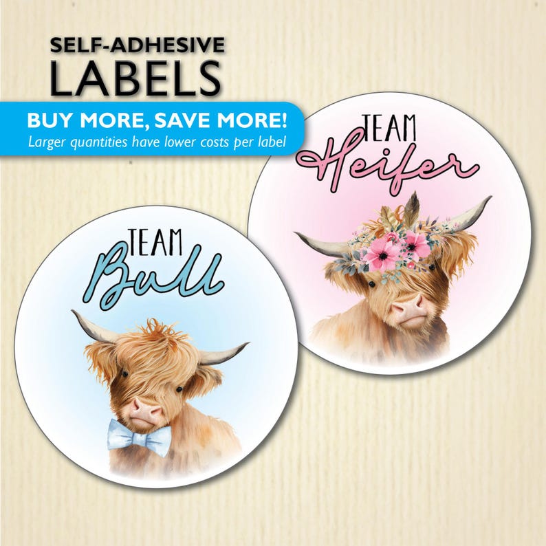 Highland Cow Gender Reveal Party Stickers, Heifer or Bull, Fluffy Cows ...