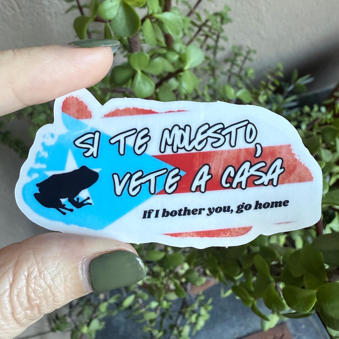 Coquí Frog Puerto Rico Flag Sticker - Etsy