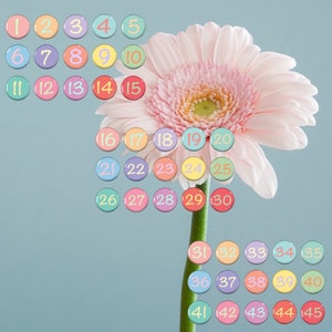 Student Number Magnets Attendance Numbers Perpetual - Etsy