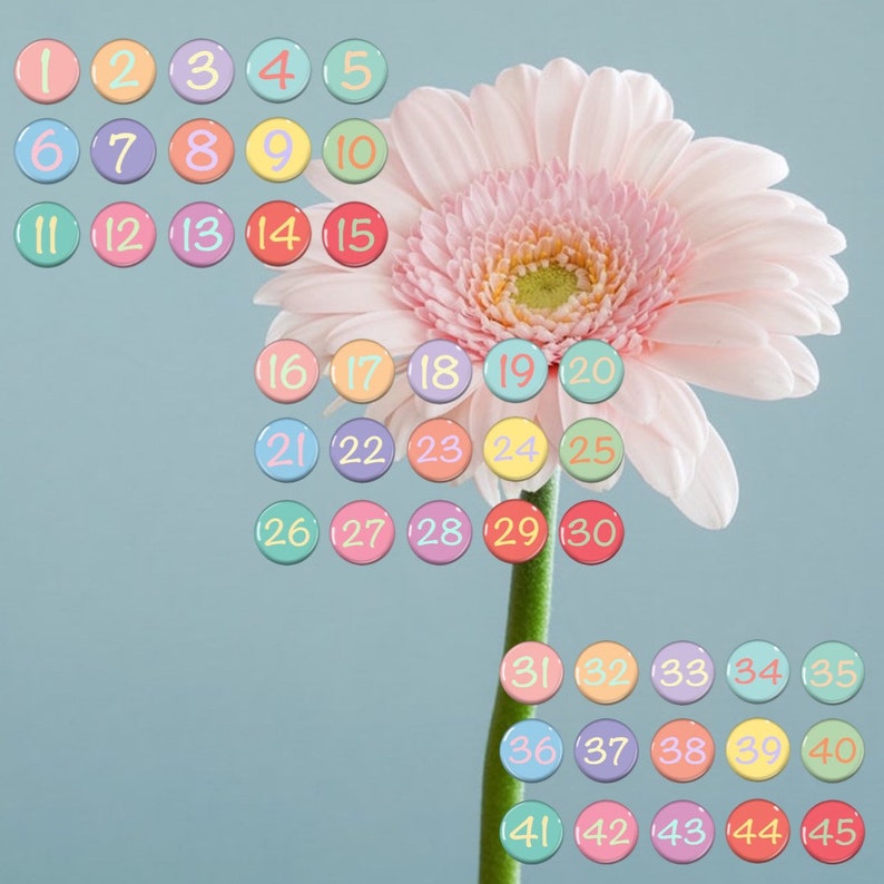 Student Number Magnets Attendance Numbers Perpetual - Etsy