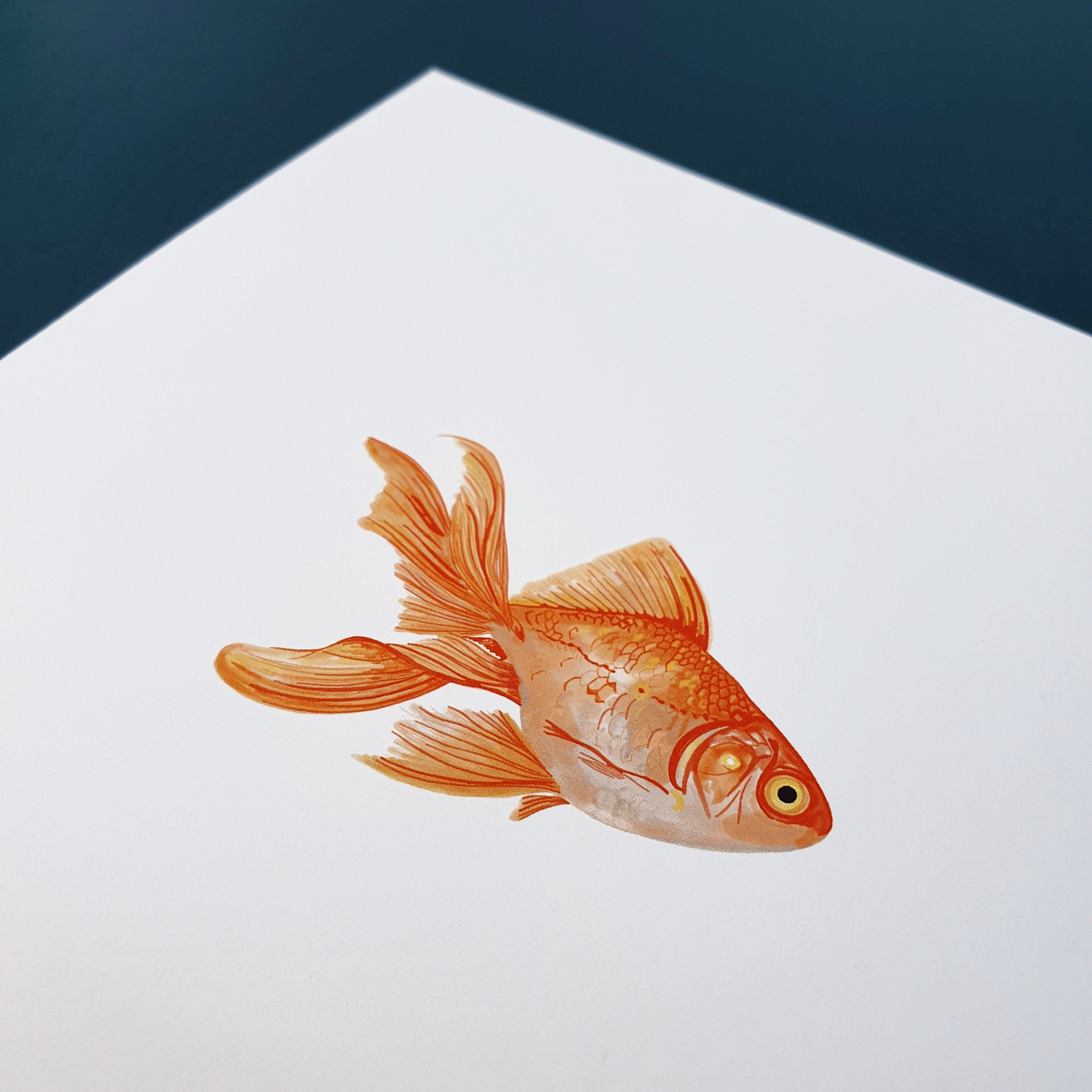 Goldfish Print Perfect for a Bathroom Limited Edition | Etsy