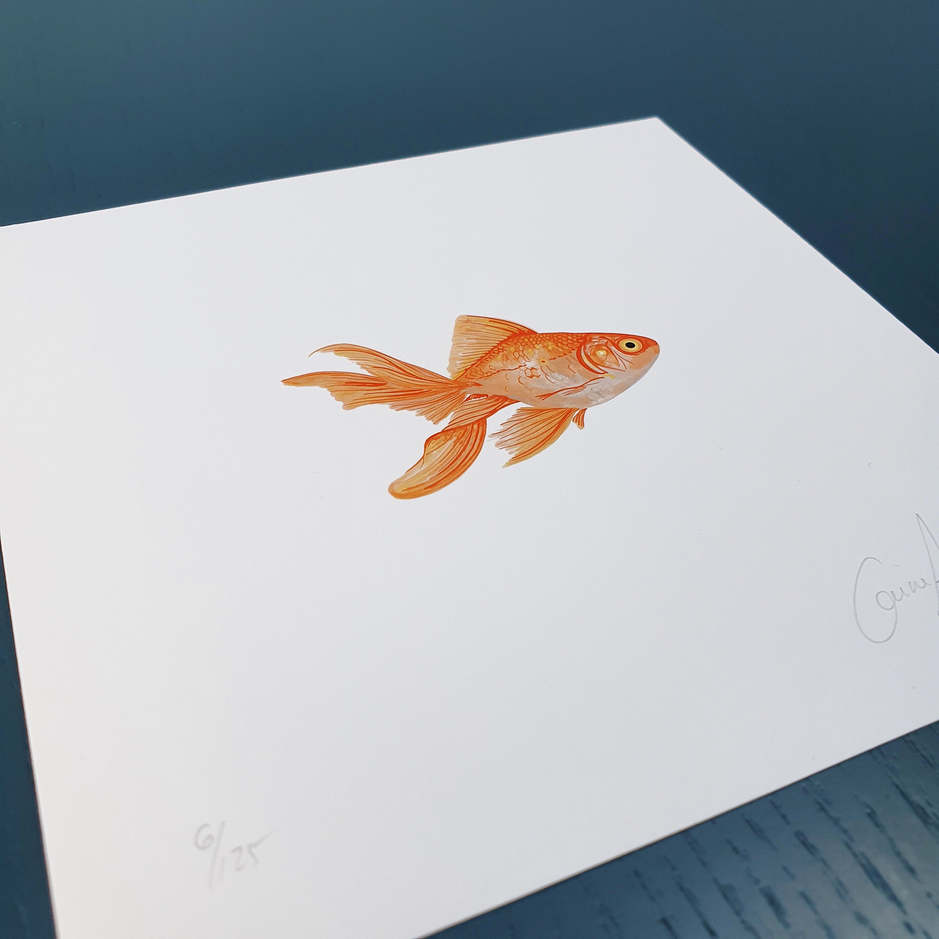 Goldfish Print Perfect for a Bathroom Limited Edition | Etsy