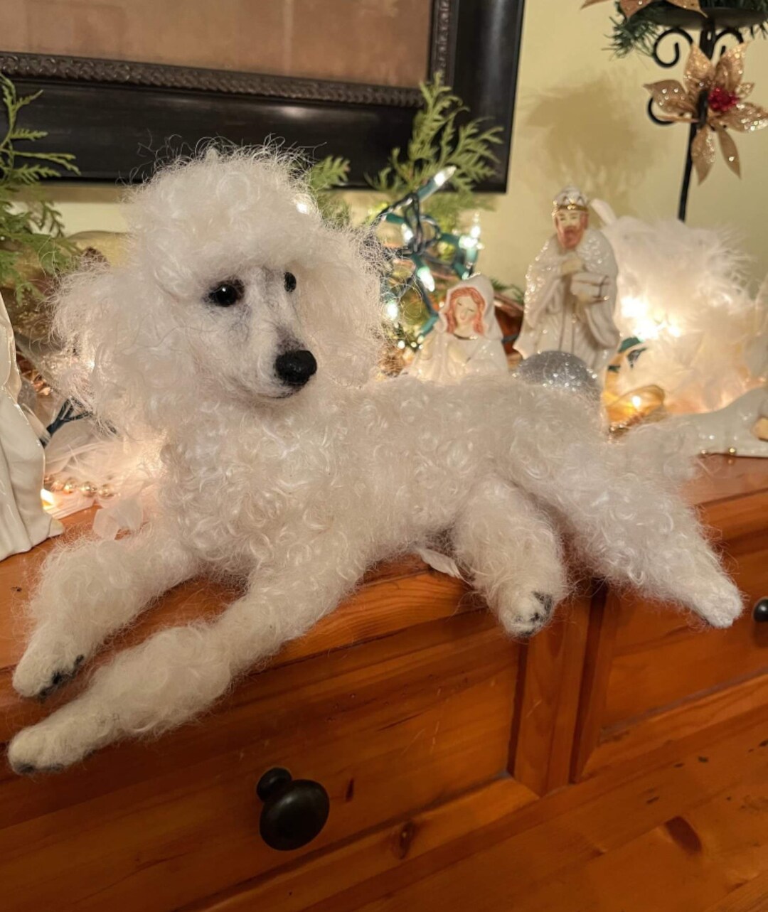 White Toy Poodle Grooming