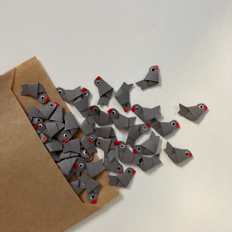 Bird Confetti - Etsy