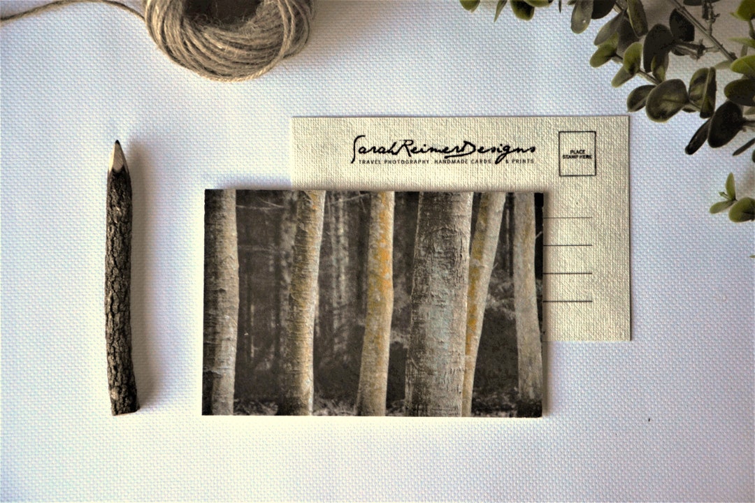 Colours of Thetford Forest, Cambridge UK, Postcard on Handmade Eco ...