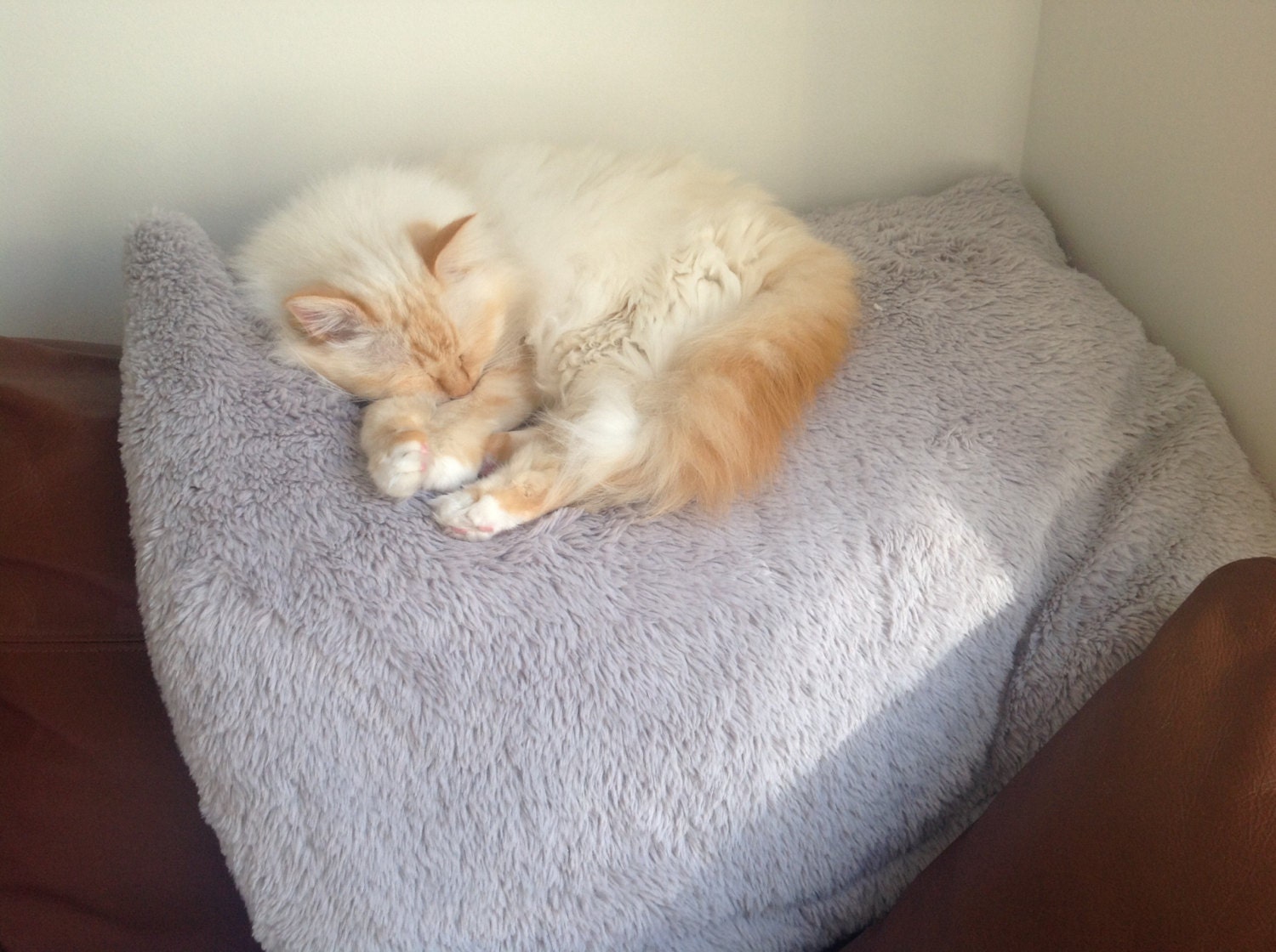Luxury Snuggle Sack, Sleeping Bag, Pet, Cat, Dog, Small Animal - Etsy UK