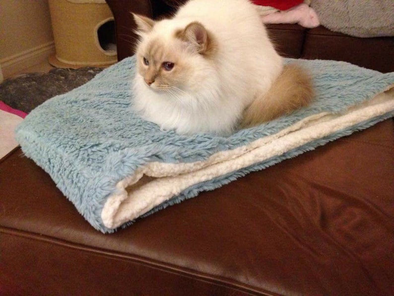 Luxury Snuggle Sack, Sleeping Bag, Pet, Cat, Dog, Small Animal - Etsy UK