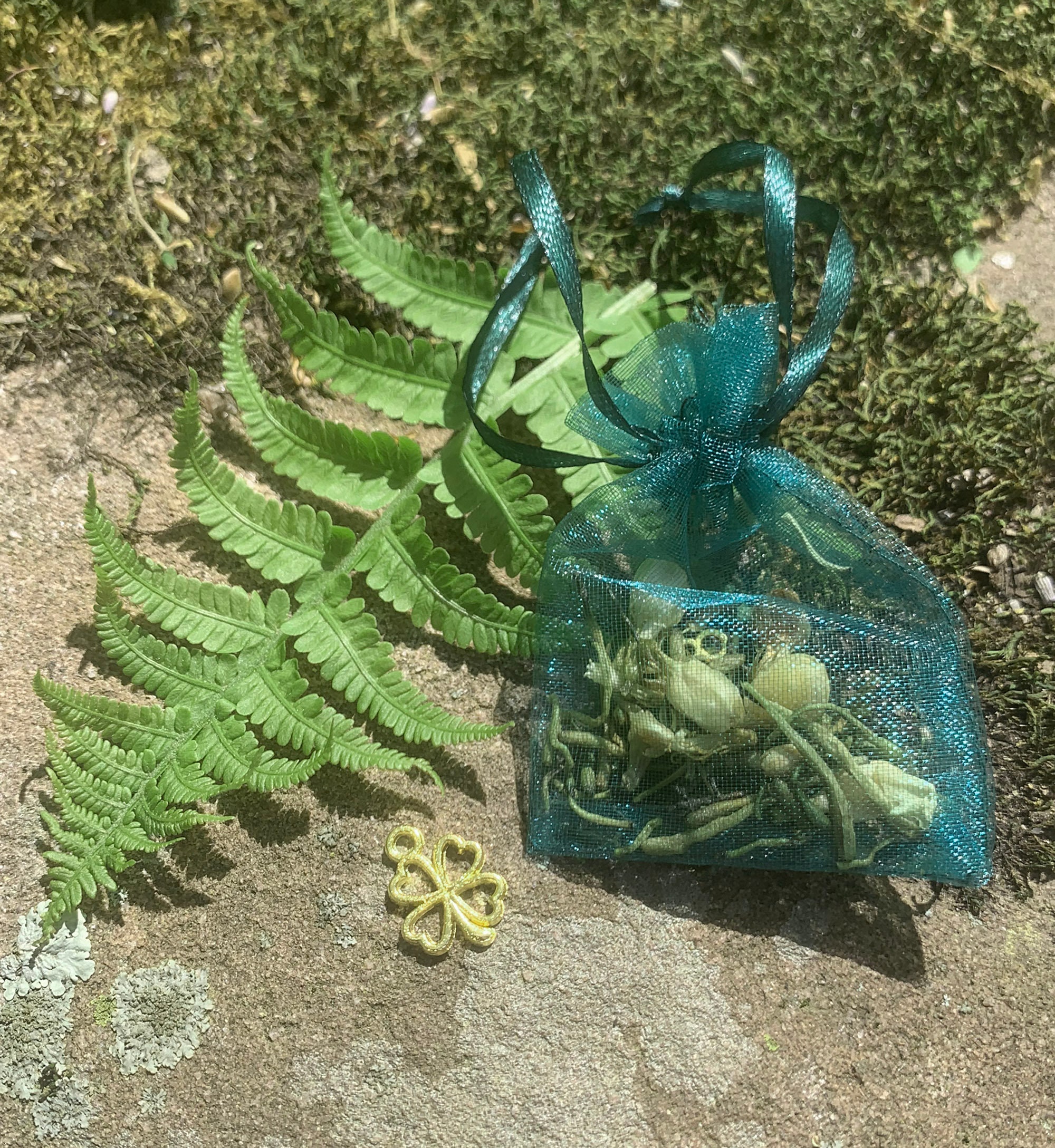 Luck and Wealth Putsi - Etsy