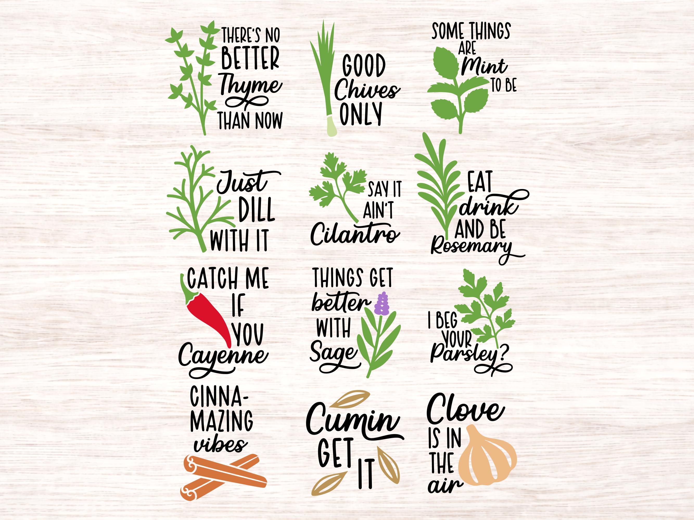 Herb and Spice Pun SVG Bundle | Funny Kitchen Sayings Clipart | Cooking ...