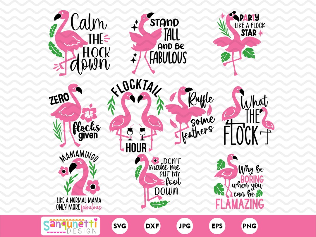 Sassy Flamingo Clipart, Funny Tropical Flamingo SVG - Etsy