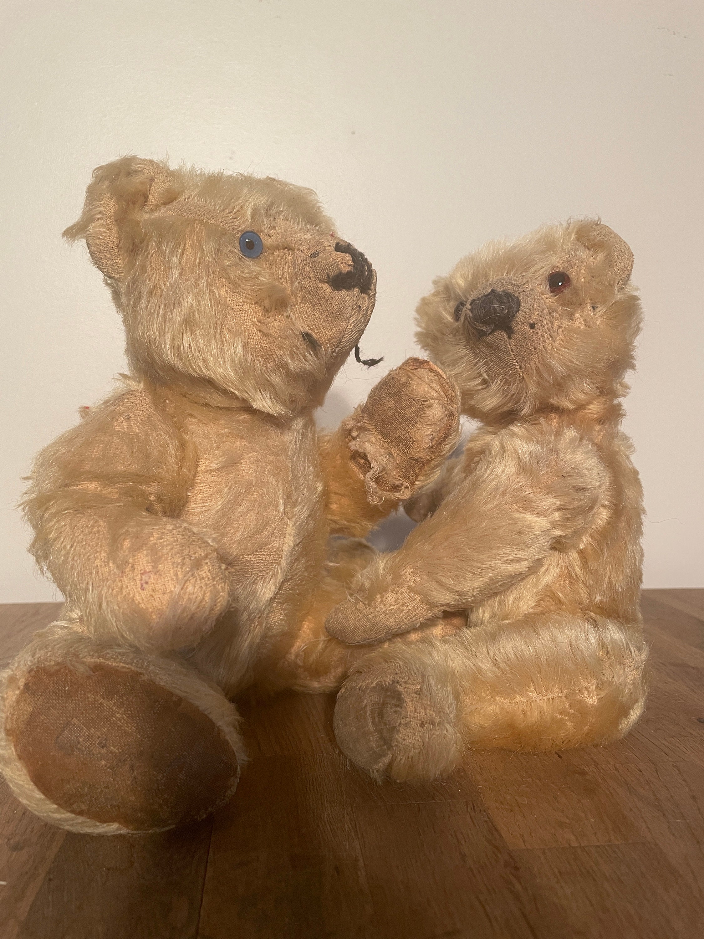 Vintage Chiltern Teddy Bears Brown and Blue Eyes - Etsy Canada