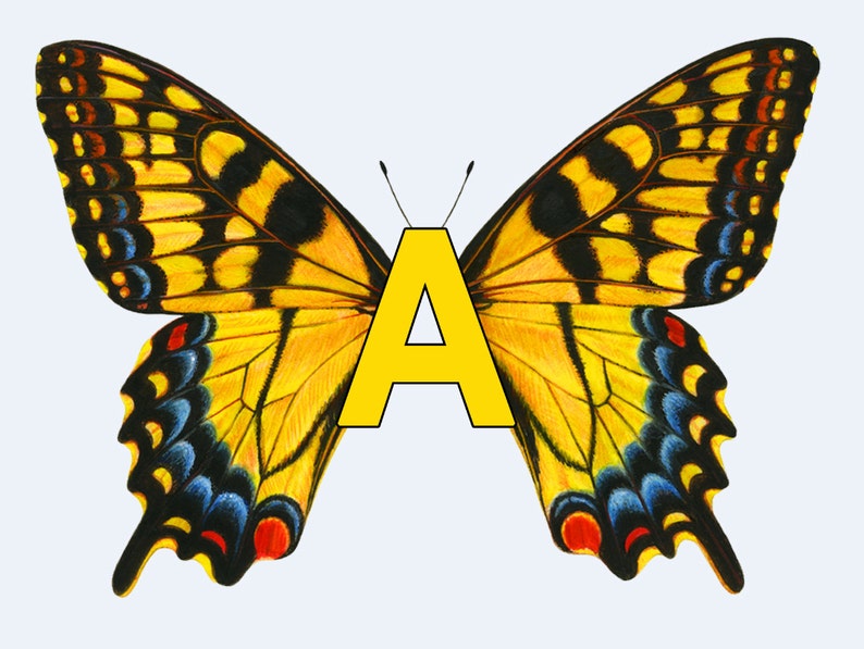 Alphabet Butterflies Graphics Download. - Etsy Canada