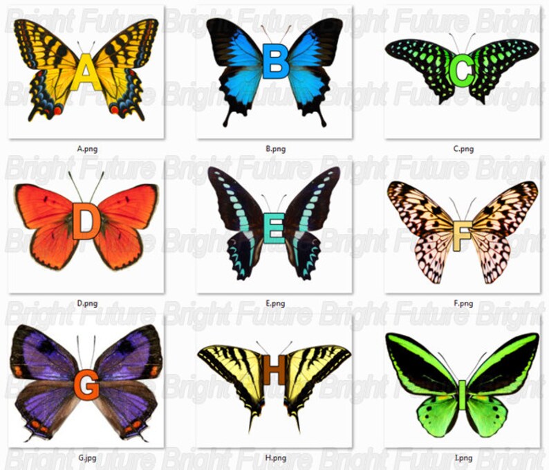 Alphabet Butterflies Graphics Download. - Etsy Canada