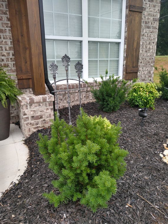 Cast Iron Garden Trellis Iron Garden Trellis Section Iron - Etsy