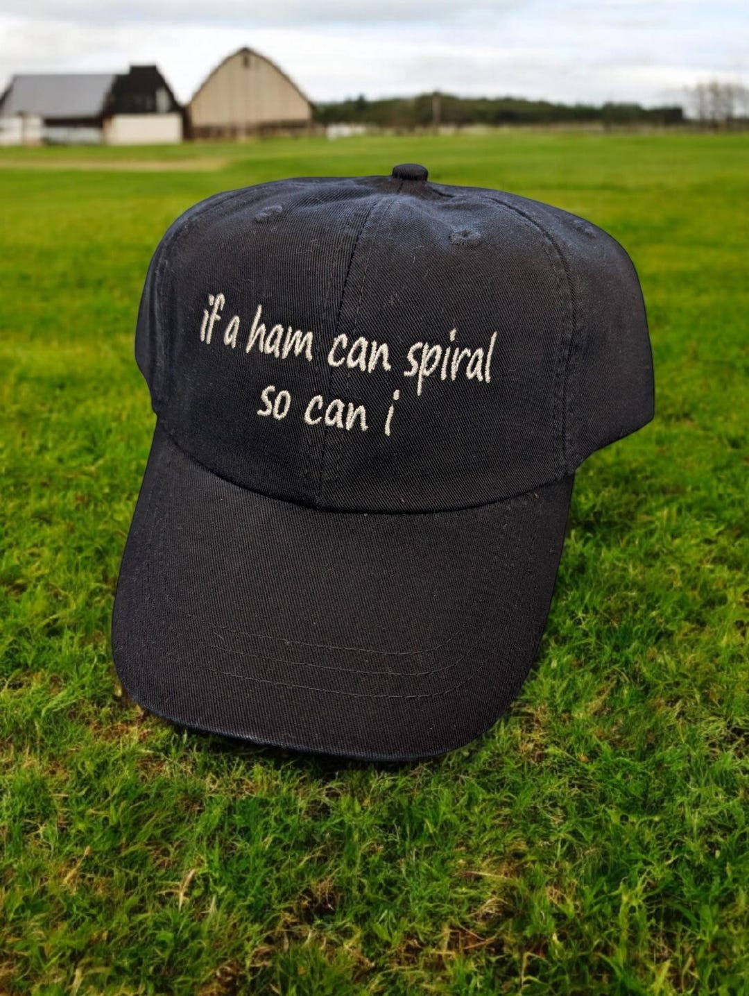 Embroidered Spiraling Ham Cap - Vintage Humorous Baseball Hat - Mom Dad ...