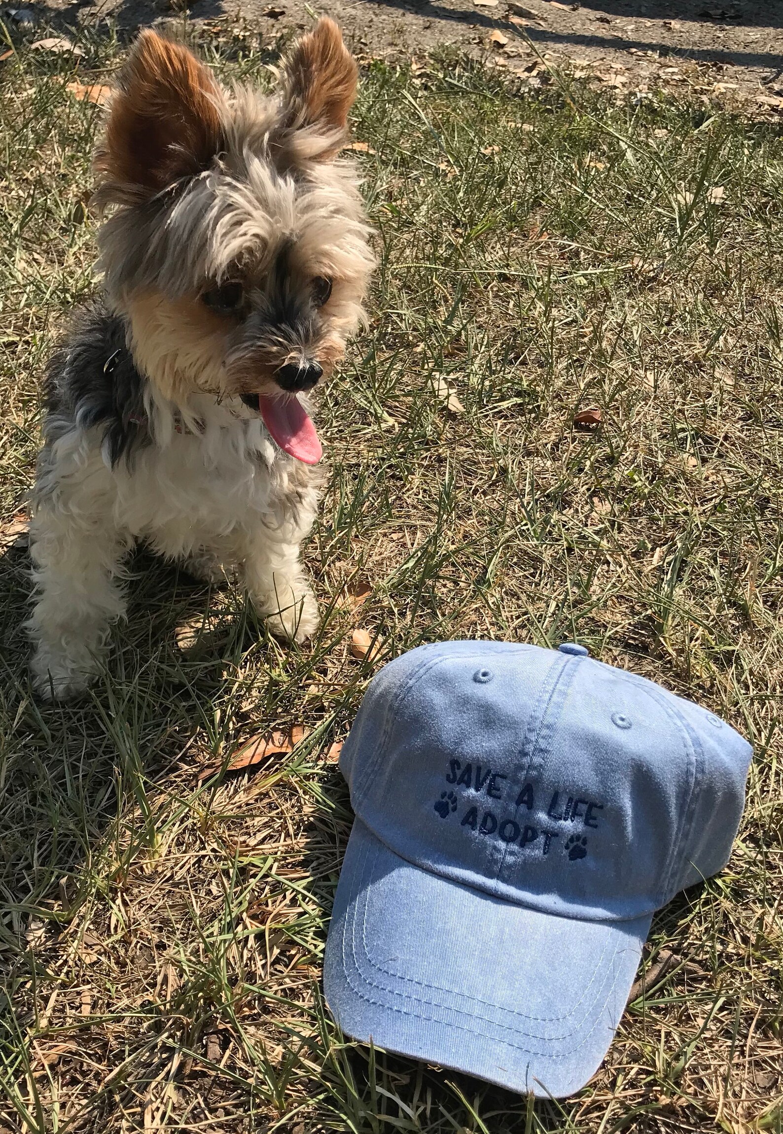 Save a Life Adopt Baseball Cap - Animal Adoption - Etsy