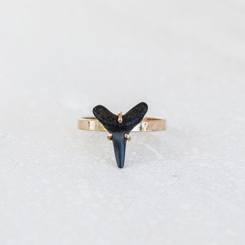 Shark Tooth Ring Shark Tooth Jewelry Fossil Ring for Women - Etsy