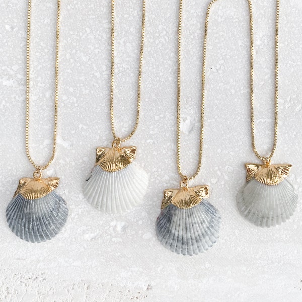 Seashell Necklace - Etsy