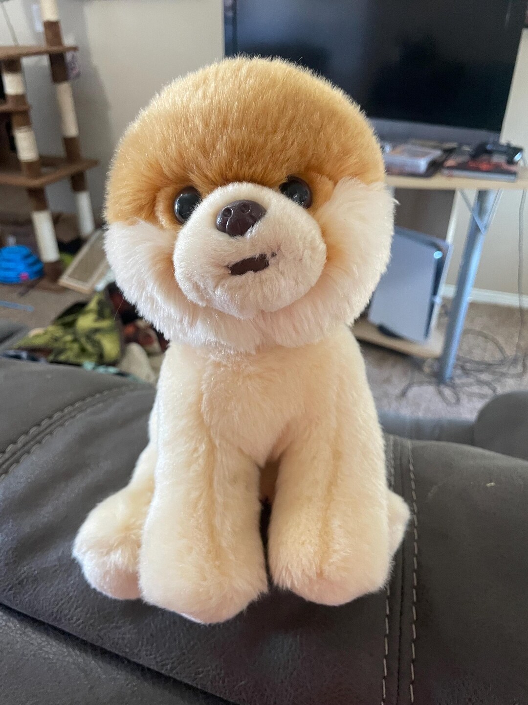 Gund Boo Dog Plush Toy Stuffed Animal Pomeranian Puppy Vintage With ...