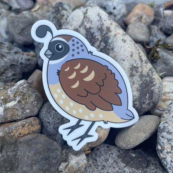 Quail Stickers - Etsy