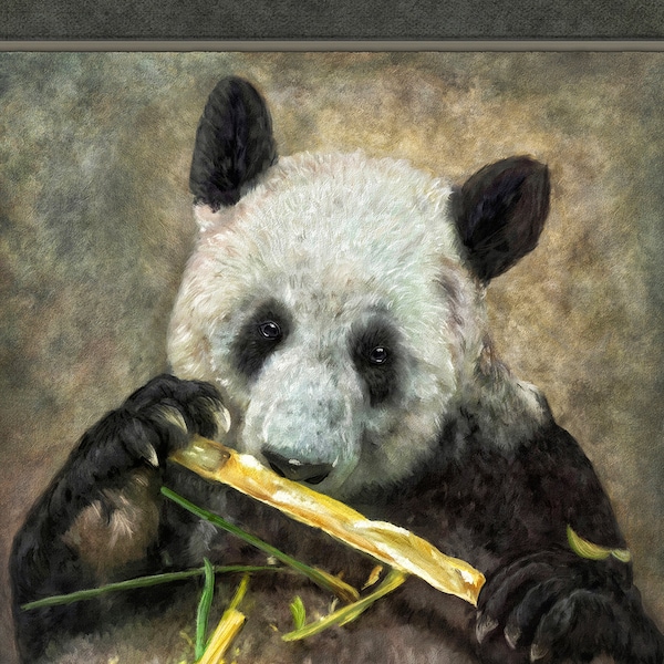 Panda Note Cards - Etsy