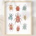 Bugs Print, Beetle Print, Insect Print, Nursery Wall Art, Kids Room ...