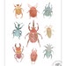 Bugs Print, Beetle Print, Insect Print, Nursery Wall Art, Kids Room ...