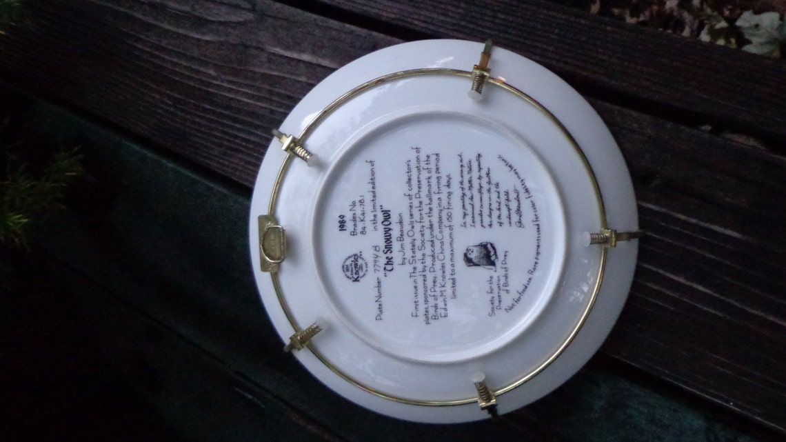 The Snowy Owl Decorator Plate by Jim Beaudoin 1989 | Etsy