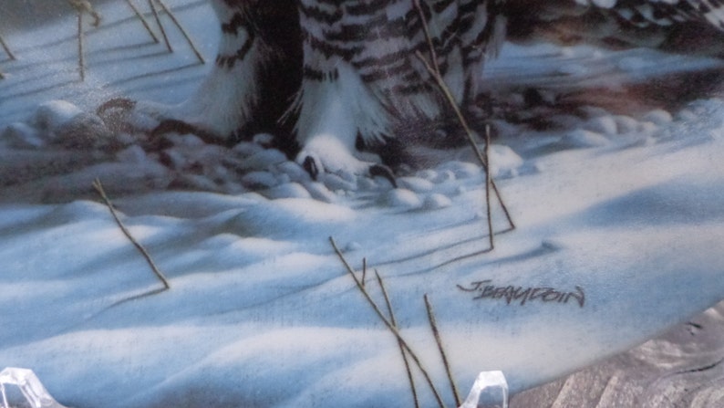 The Snowy Owl Decorator Plate by Jim Beaudoin 1989 | Etsy
