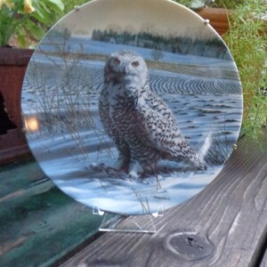 The Snowy Owl Decorator Plate by Jim Beaudoin 1989 | Etsy
