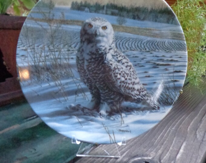 The Snowy Owl Decorator Plate by Jim Beaudoin 1989 - Etsy