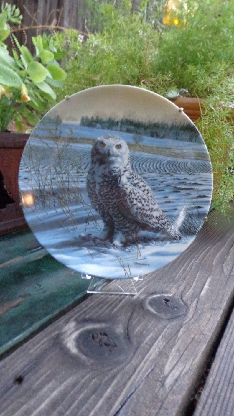 The Snowy Owl Decorator Plate by Jim Beaudoin 1989 | Etsy