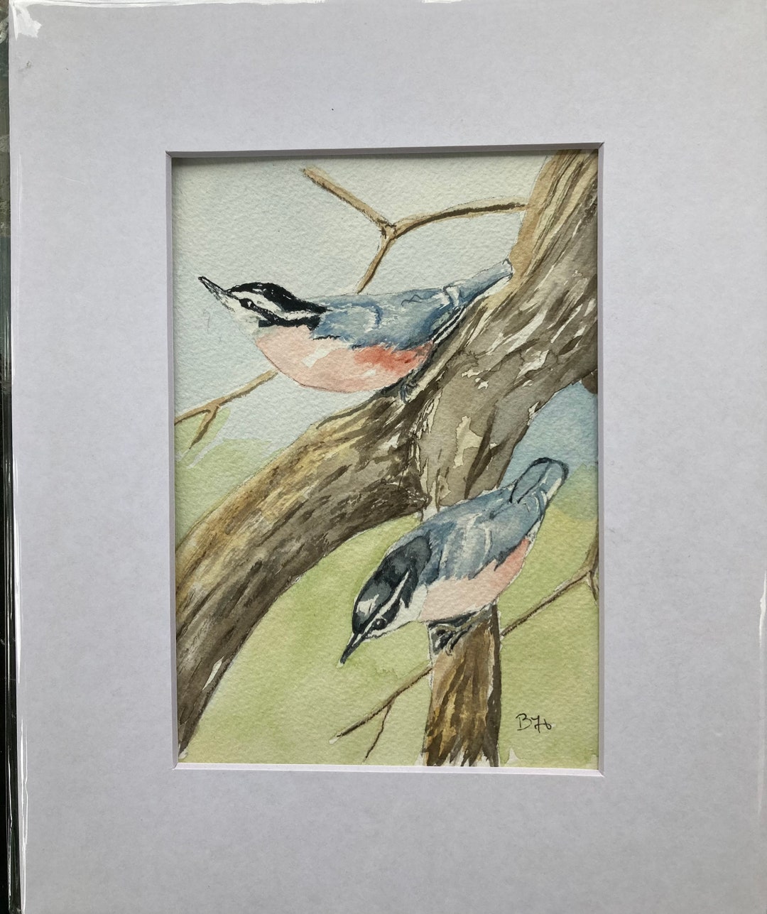 Red-breasted Nuthatches - Etsy