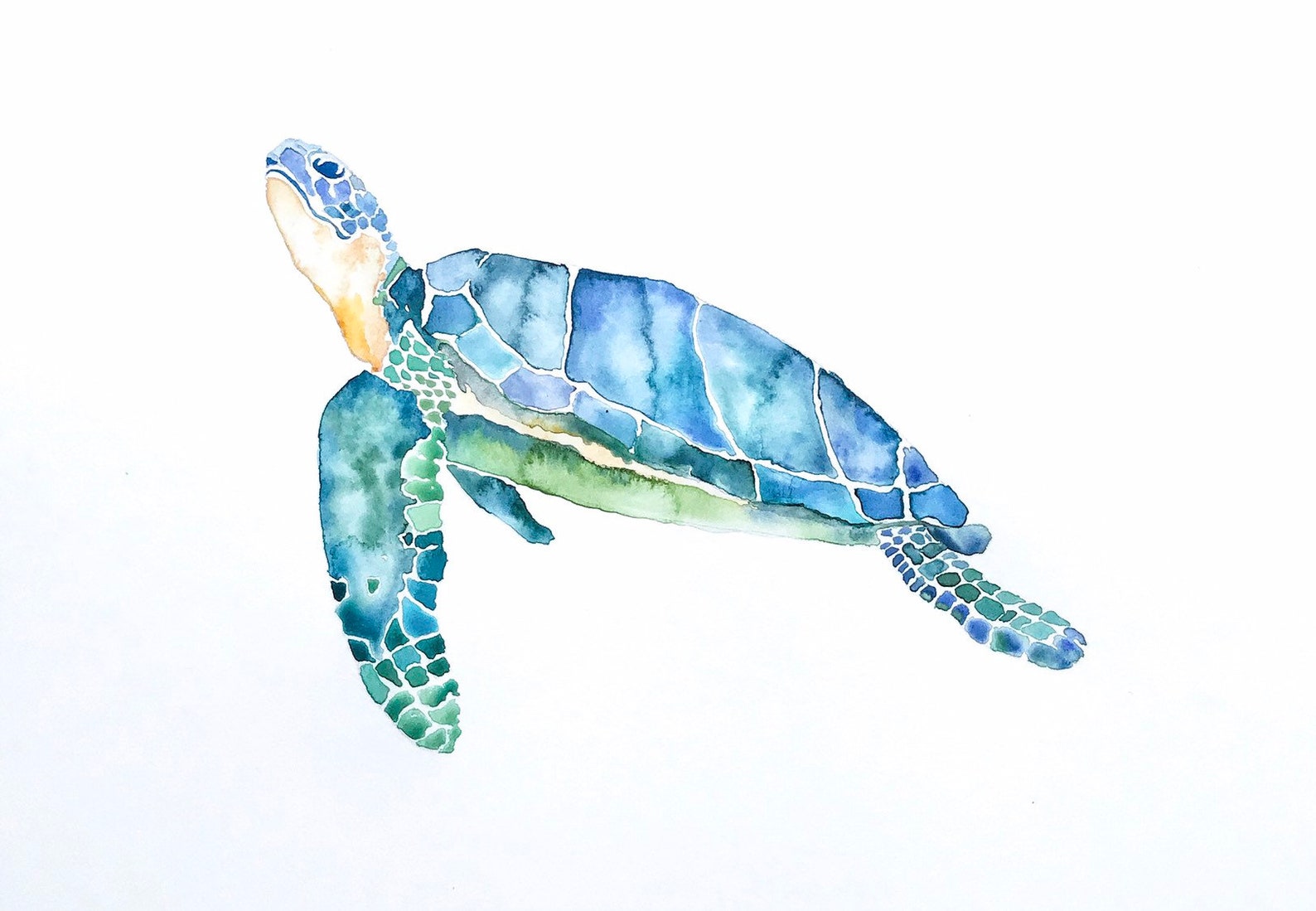 Sea Turtle Art Print, Turtle Watercolour Print - Etsy