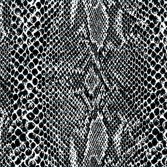 SVG Cut Files Snakeskin SVG Animal Skin Svg PNG Tumbler - Etsy