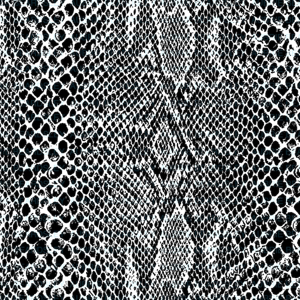 Snake Skin Png - Etsy