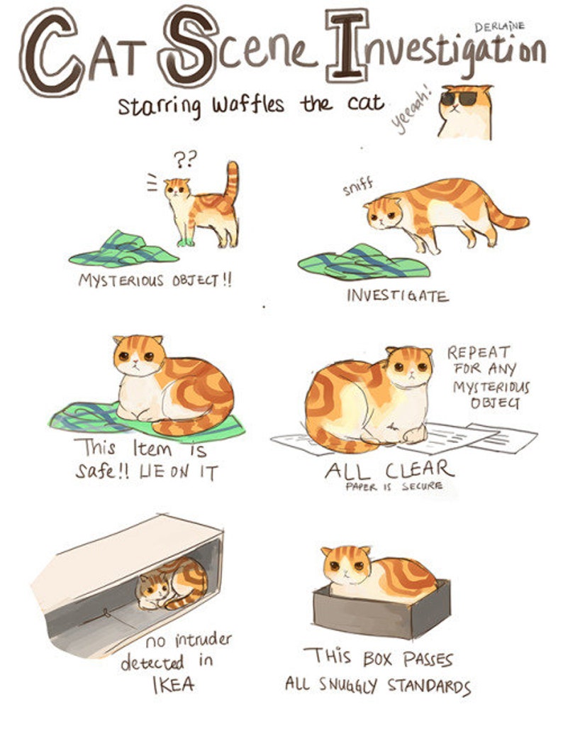 CSI Cat Scene Investigation: Funny Cat Poster - Etsy