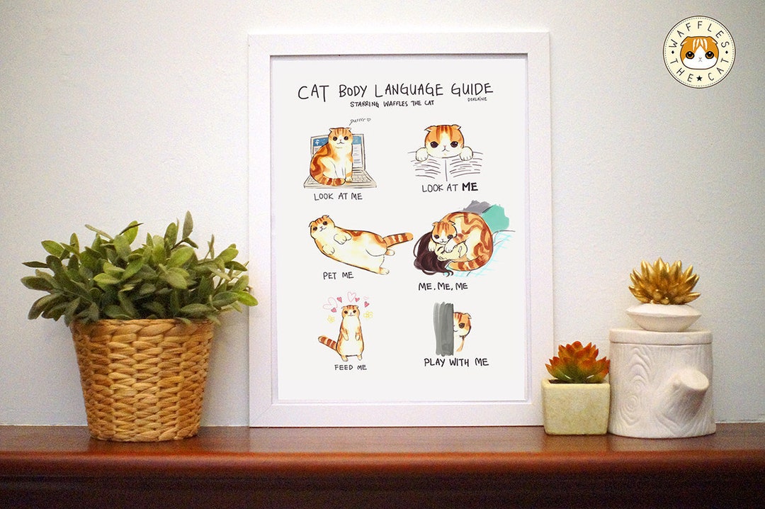 Cat Body Language Guide: Funny Cat Print - Etsy