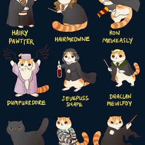 Hairy Pawtter: Funny Harry Potter Cat Poster - Etsy