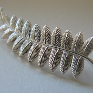 Silver Fern Brooch 2024 www.nscottrobinson