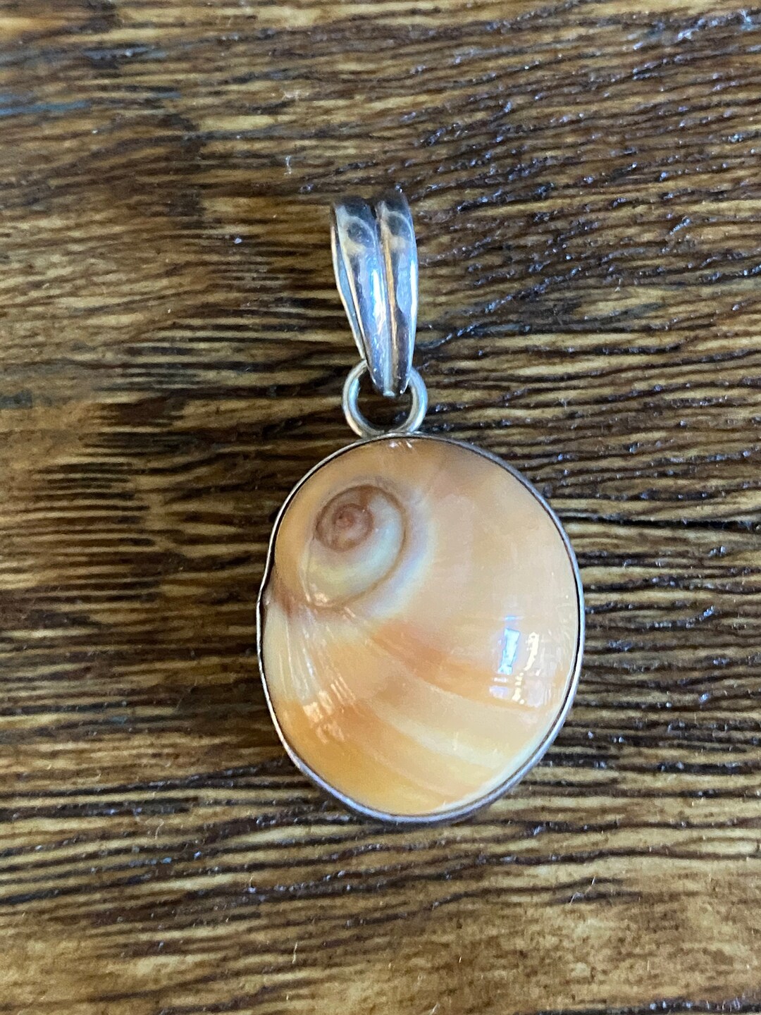 Natural Sea Shell Pendant Swirly Melon Color - Etsy